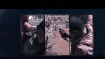 Hunger Games Running Gif