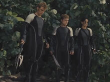 Weapons | 34th Hunger Games Fanon Wiki | Fandom
