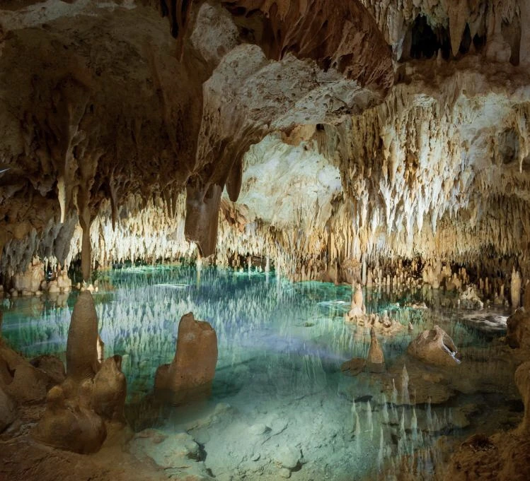 The 2nd Hunger Games | 34th Hunger Games Fanon Wiki | Fandom