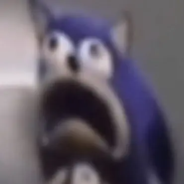 in amy's gallery what should malware amy's set look like? | Fandom