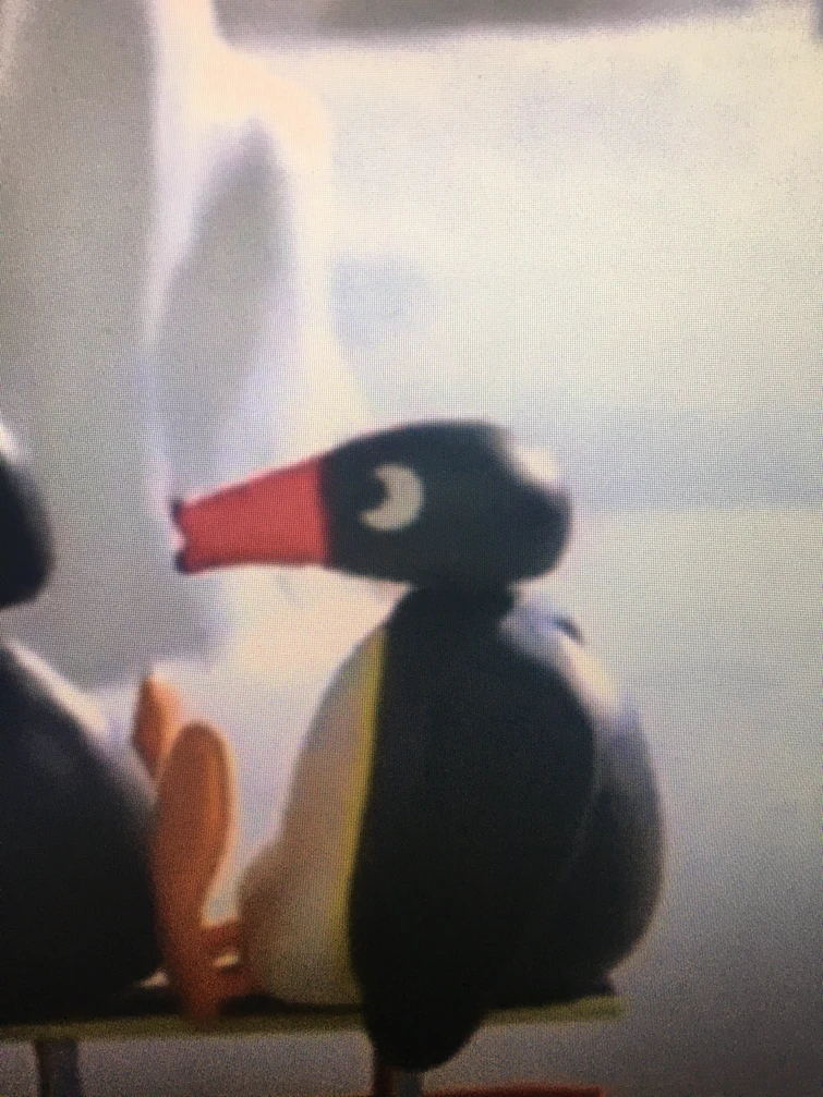 Discuss Everything About Pingu Wiki | Fandom