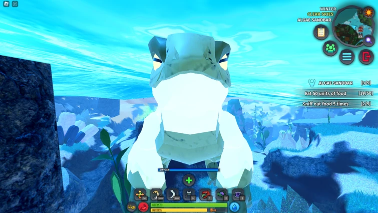 The Frog is judging you.. | Fandom