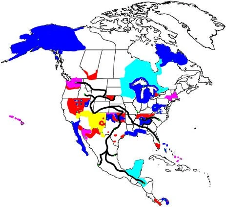 alternative North America apocalypse map | Fandom