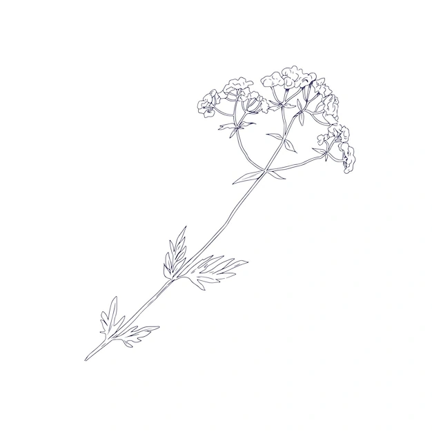 Remastering Oblivion’s Story - The Valerian Prince | Fandom