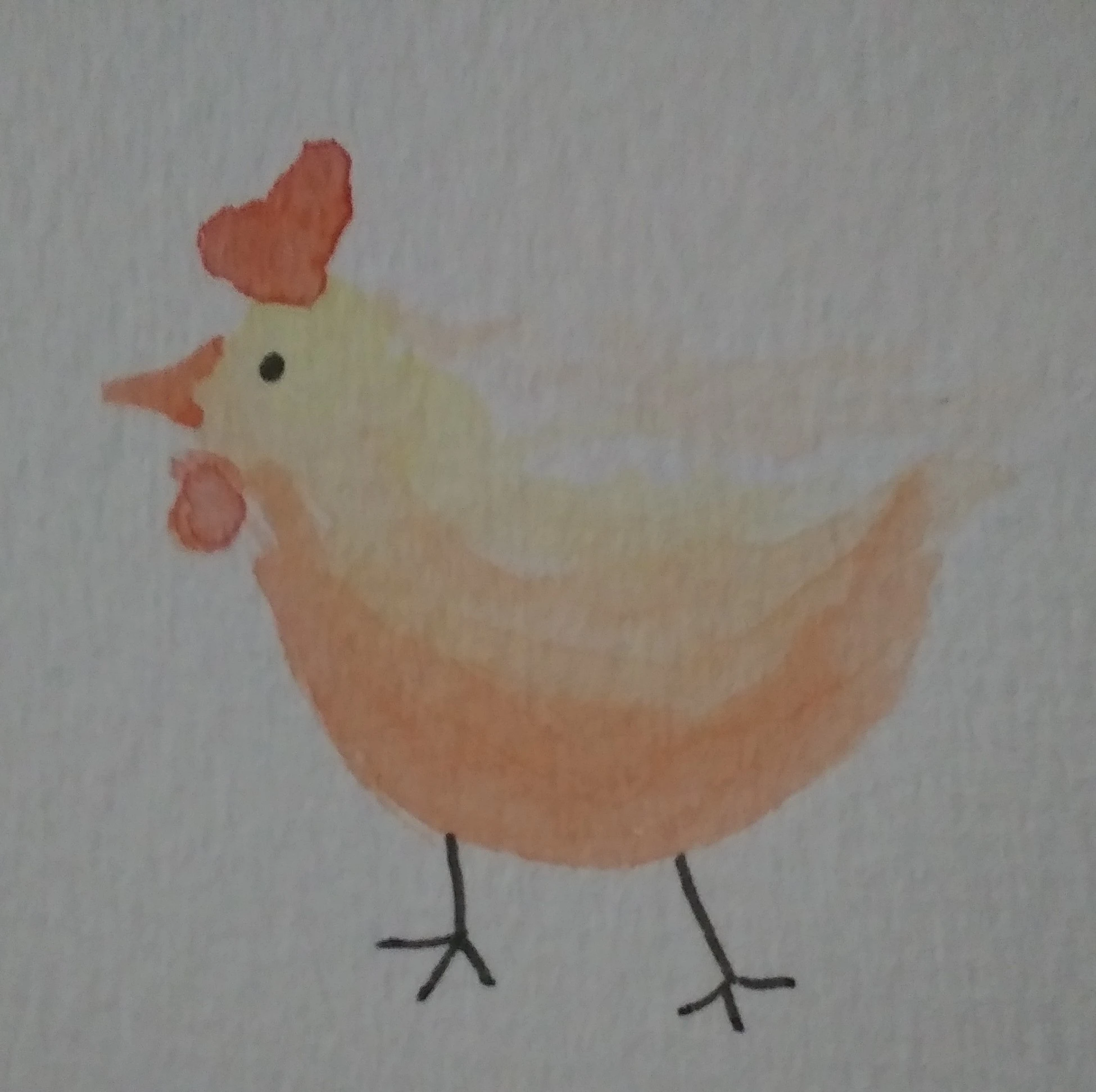 the chicken | Fandom