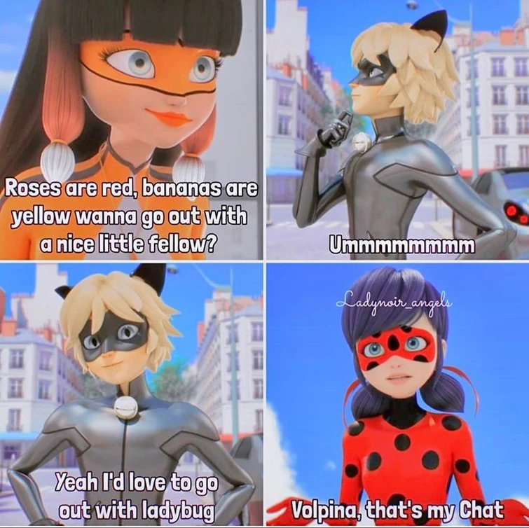 Miraculous Memes #6 | Fandom