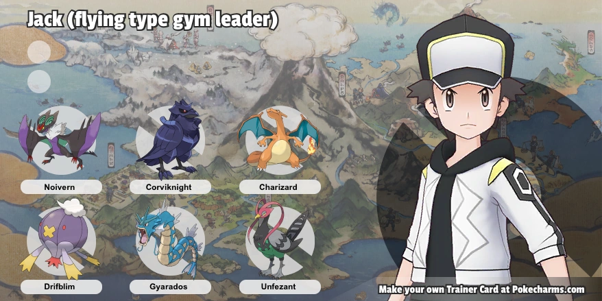 If I was a flying type gym leader | Fandom