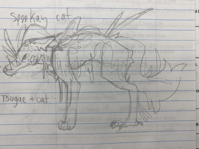 Tsugae cat WIP | Fandom