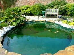 why is there so much controversy? | Fandom