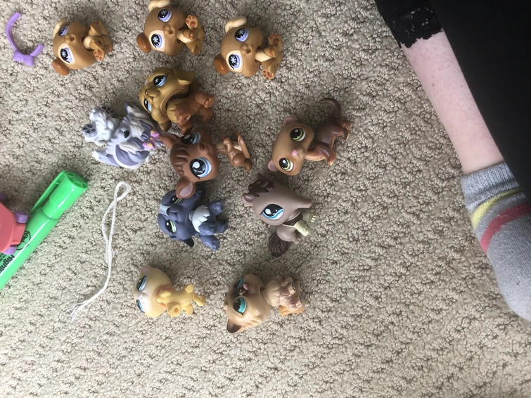 Hey! Are my LPs real/ rare/ any good? | Fandom