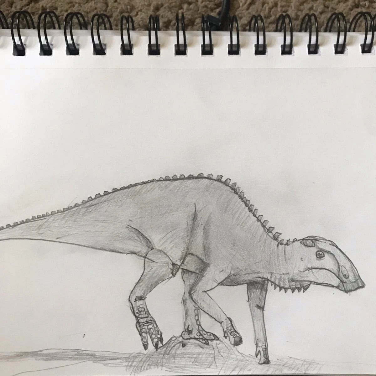 Gonkoken drawing | Fandom