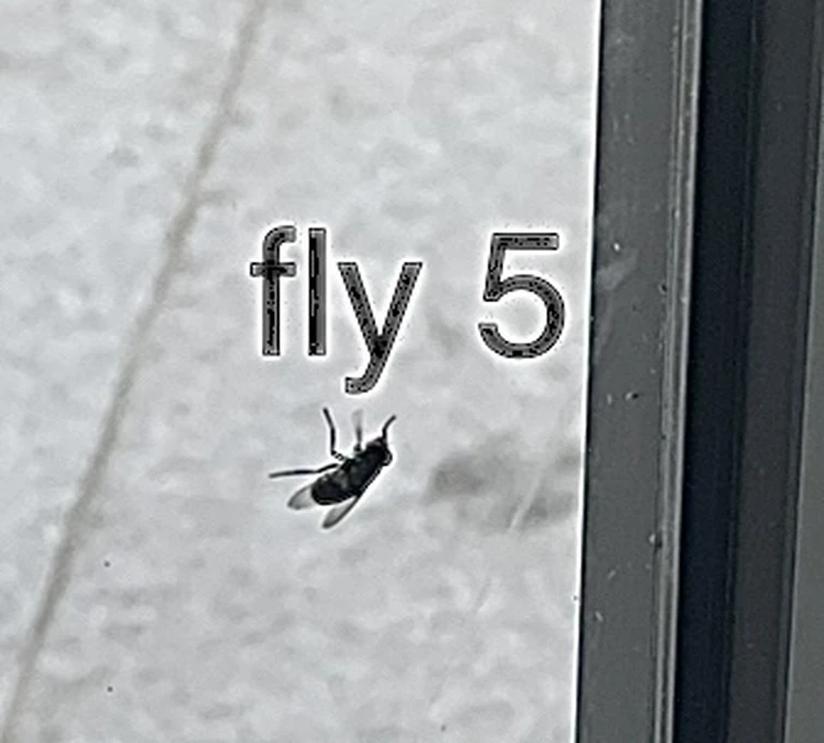 fly 5 | Fandom
