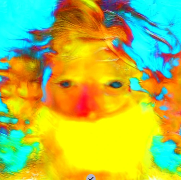 what happens | Fandom