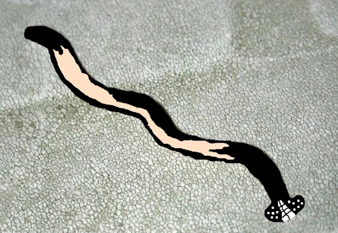 Name every creature who was unobtainable upon release | Fandom