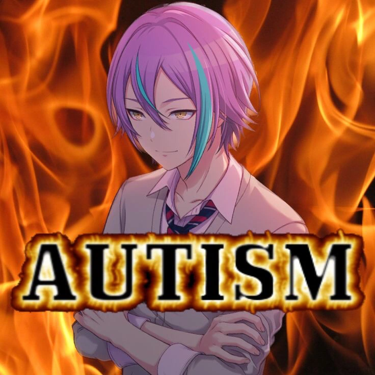 please help a starving cat | Fandom