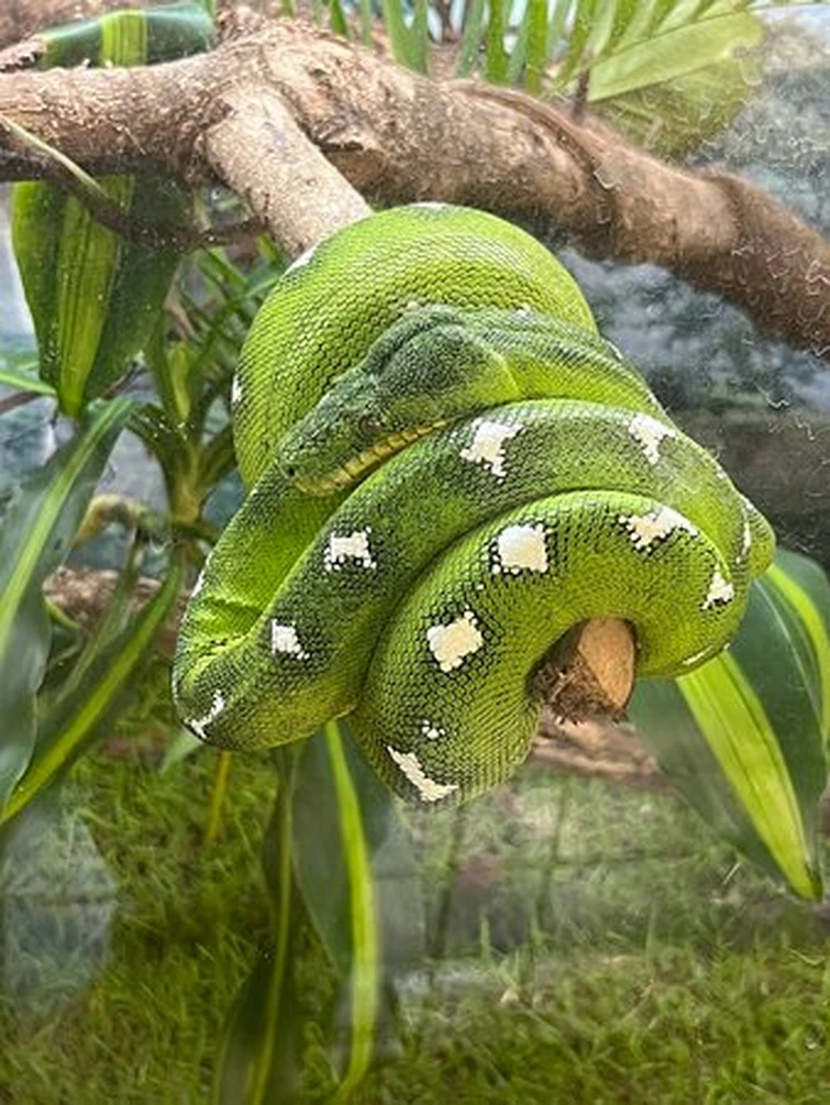 All posts by Fdsgsfd | Fandom