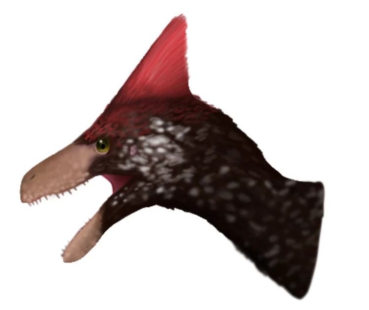 Six foot turkey | Fandom