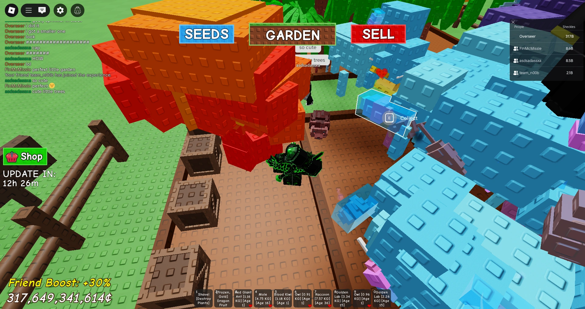 Tiniest mango tree? | Fandom