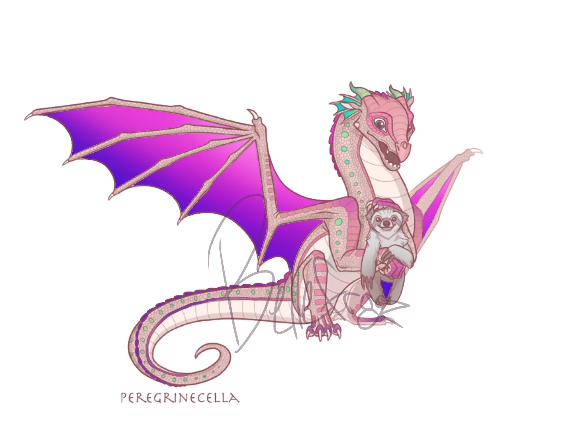rainwing dragonet adopt raffle | Fandom