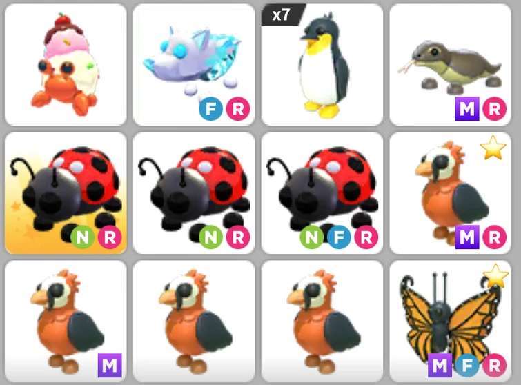 Discuss Everything About Adopt Me! Wiki | Fandom