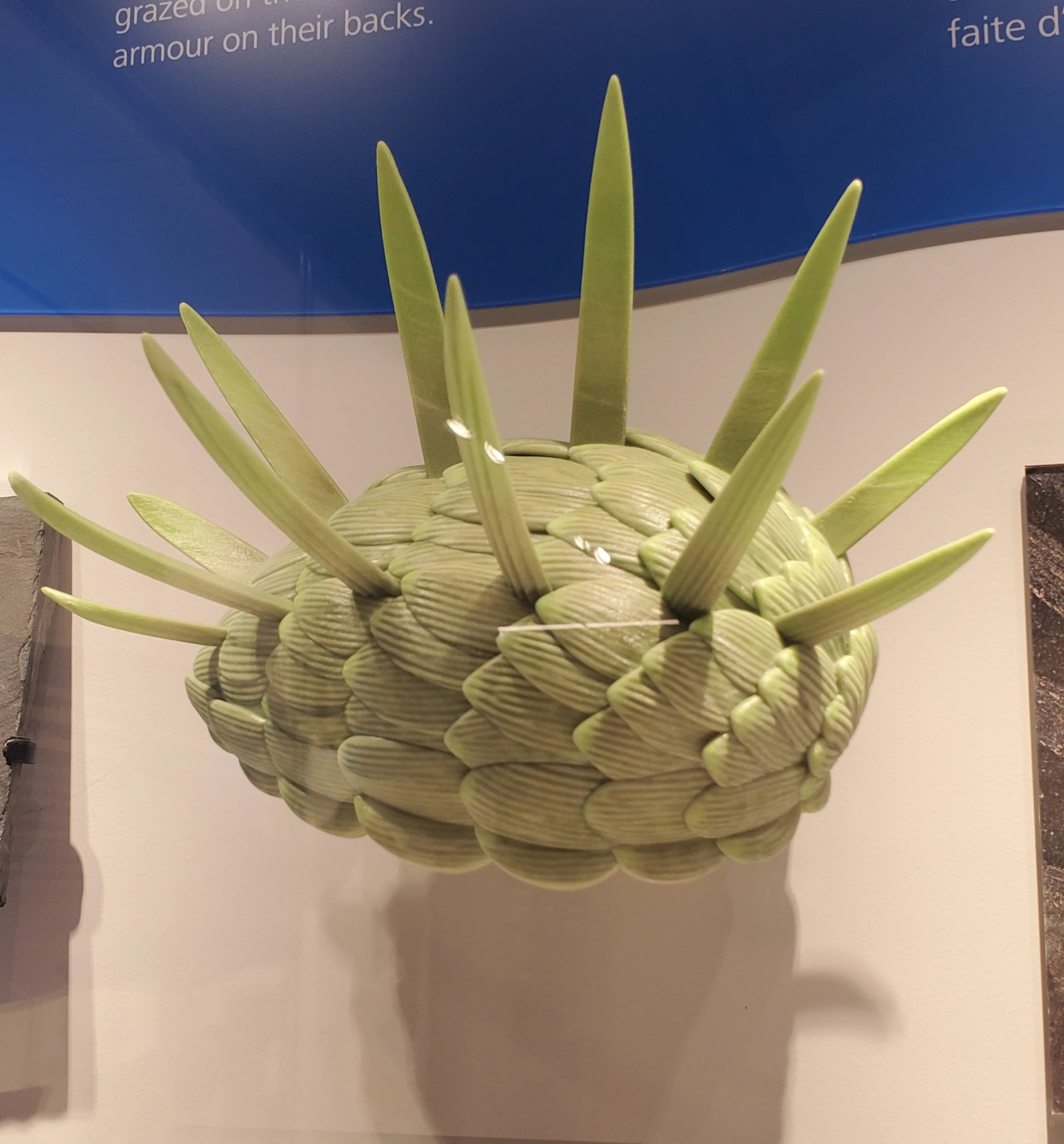 Ancient Sea Critter raffle winners! | Fandom