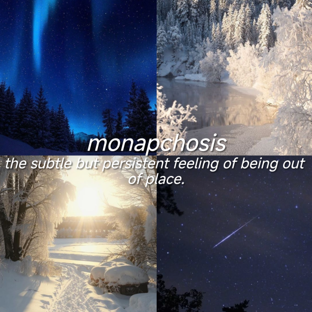 aracnide lore as moodboards/visual rep | Fandom