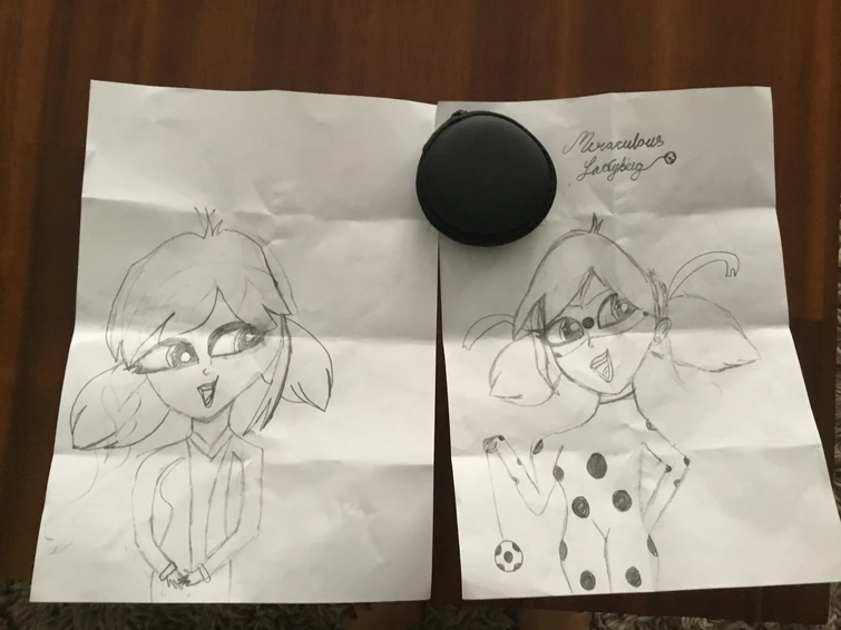 Miraculous ladybug Anima! | Fandom