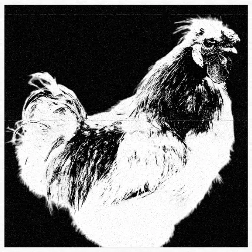 VHS Rooster | Fandom