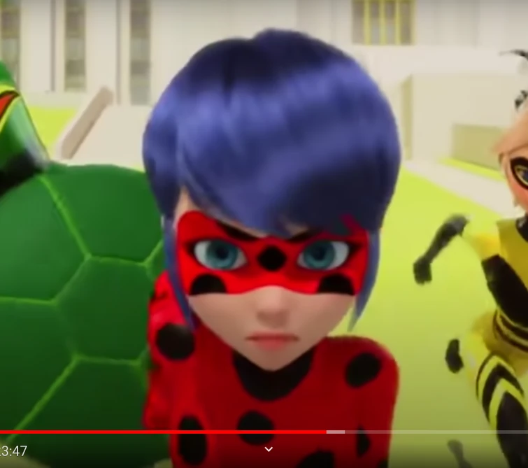 Older Ladybug?? | Fandom