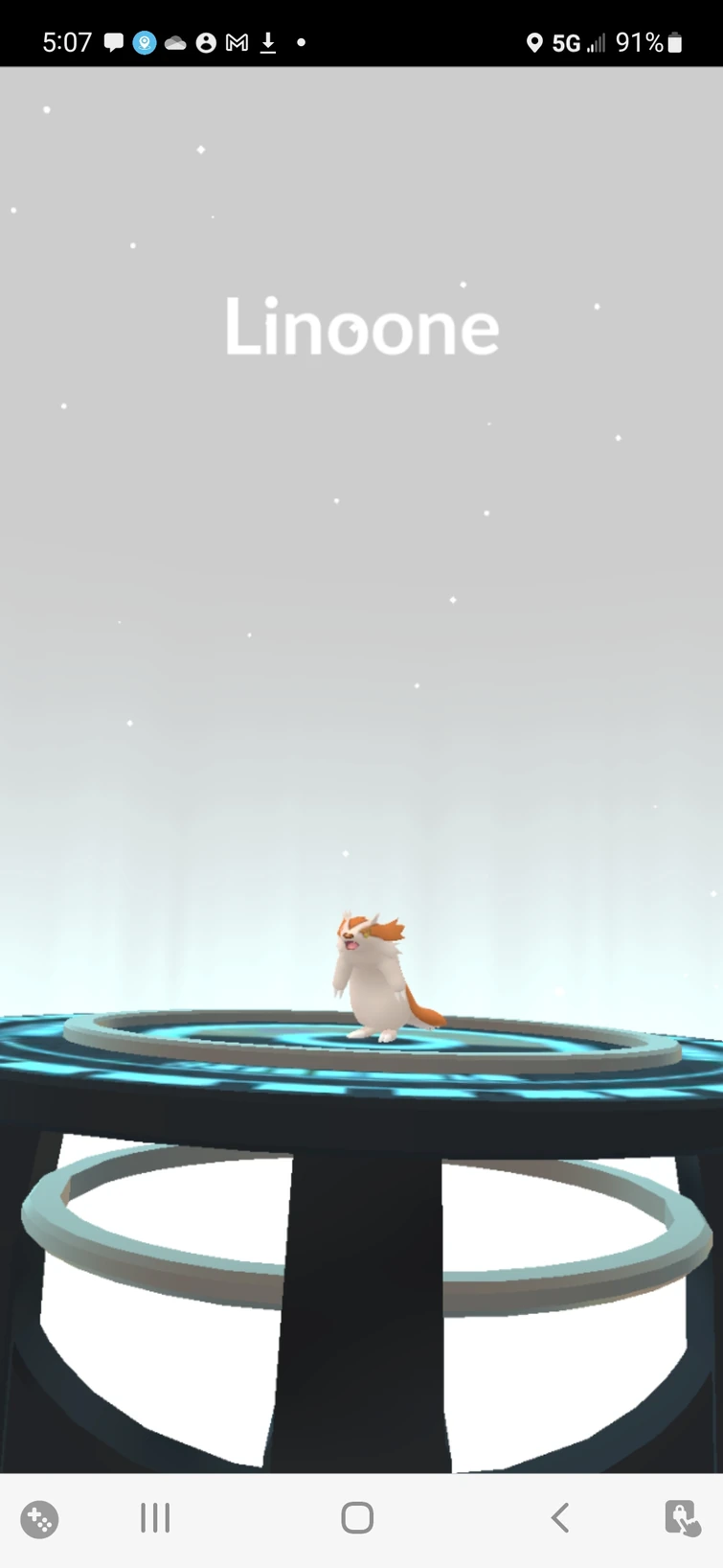 Over two years later, I finally got a second Shiny Hoennian Zigzagoon ...