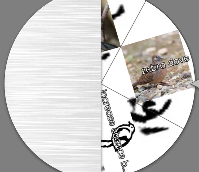 zebra dove pfp | Fandom