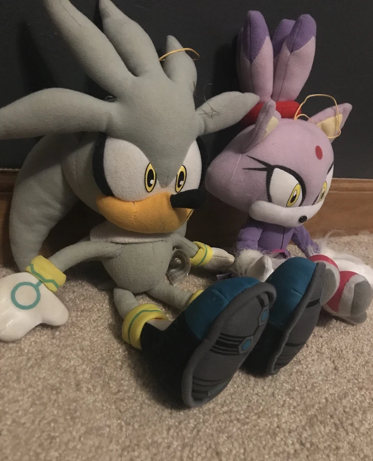 Silver and Espio | Fandom