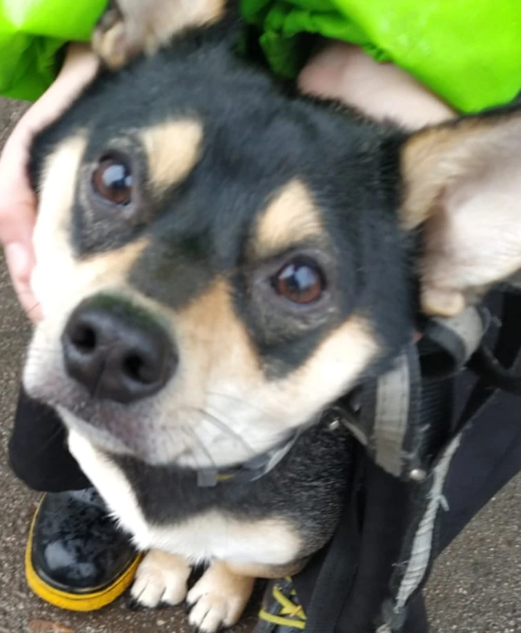 Discuss Everything About Nico's Nextbots Wiki | Fandom