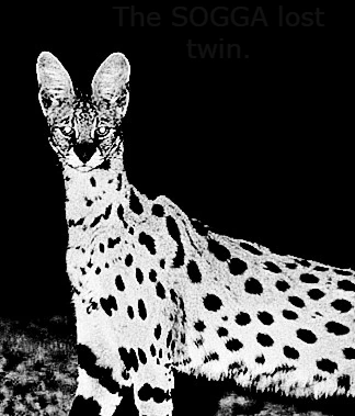 ㅤㅤㅤㅤㅤㅤㅤㅤㅤㅤㅤㅤㅤㅤ | Fandom