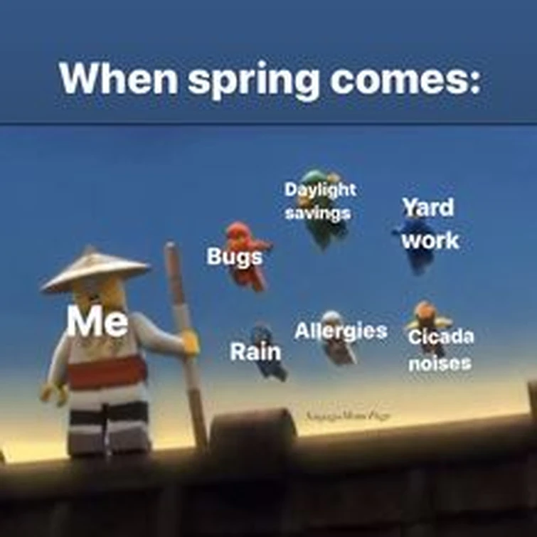 MEMES | Fandom