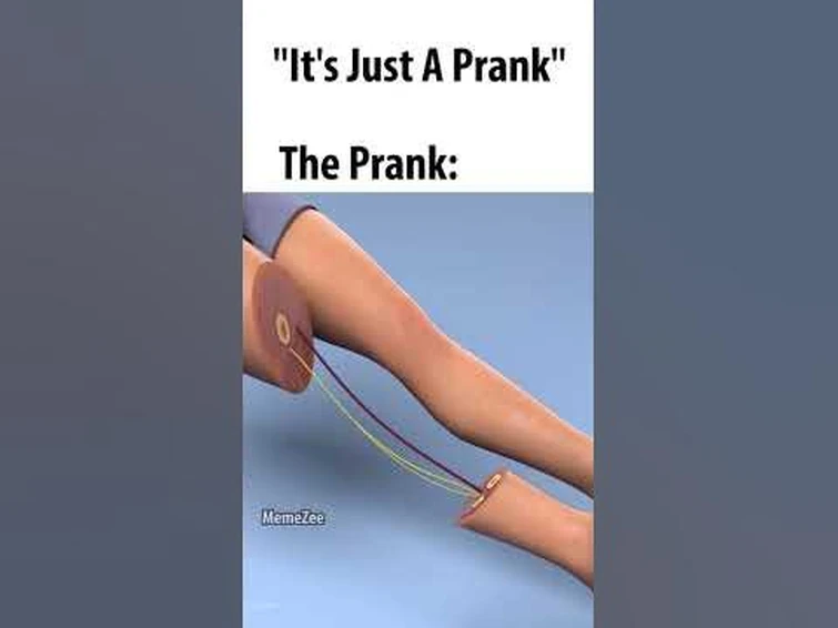 this is definitely a prank that would be done by medkit and subspace ...