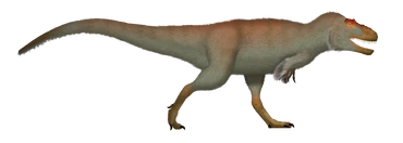 Nanuqsaurus is the best tyrannosauroid | Fandom