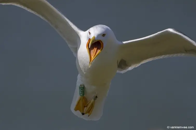 All posts by Event811 | Fandom