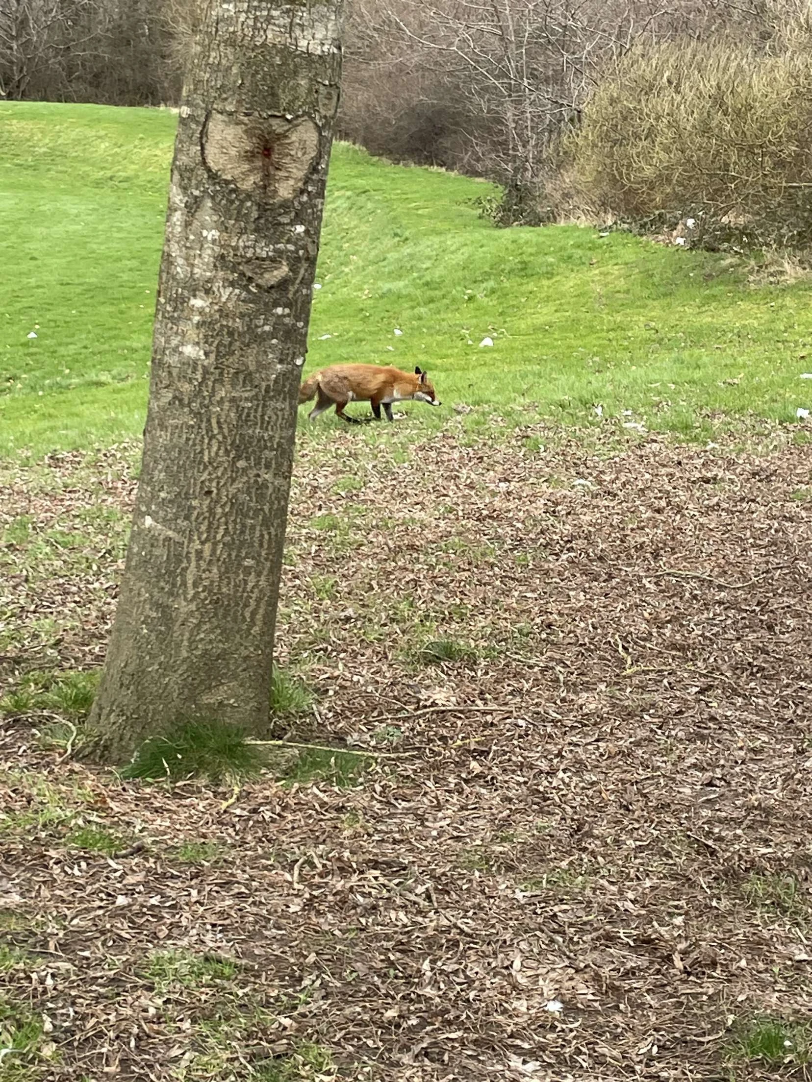 Monday Recap! | Fandom