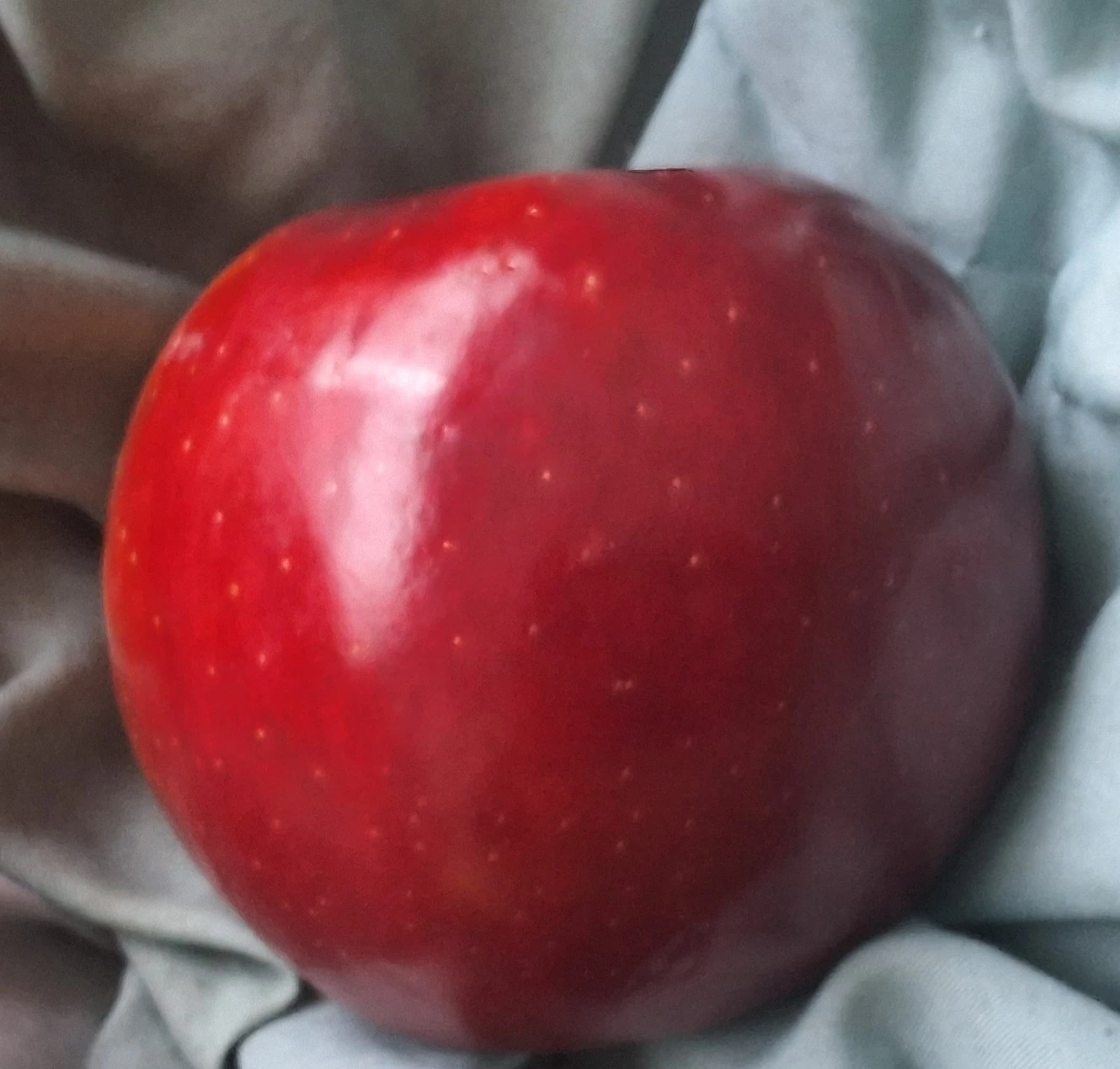 why is my apple an orb 💔 | Fandom