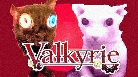 I love valkyrie | Fandom