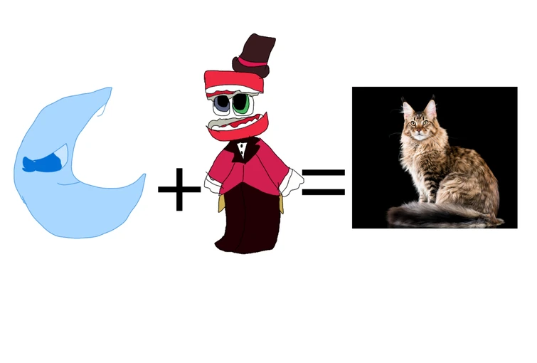 Moon + Caine = A MAINE COON??? | Fandom