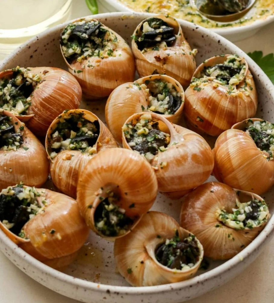 SCARGO NOOO | Fandom