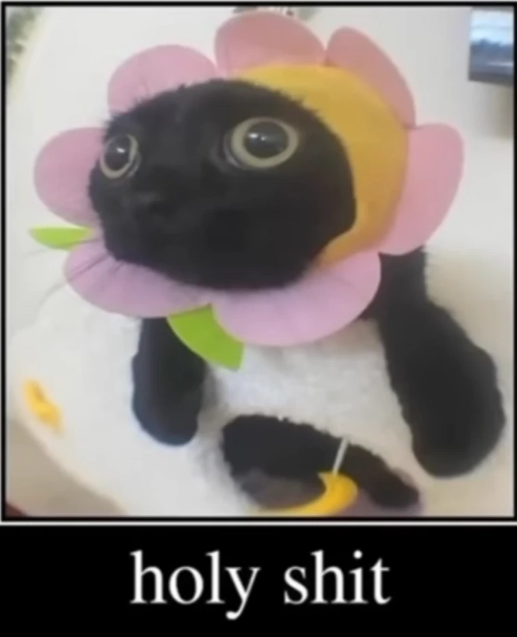 Recoded Leak | Fandom