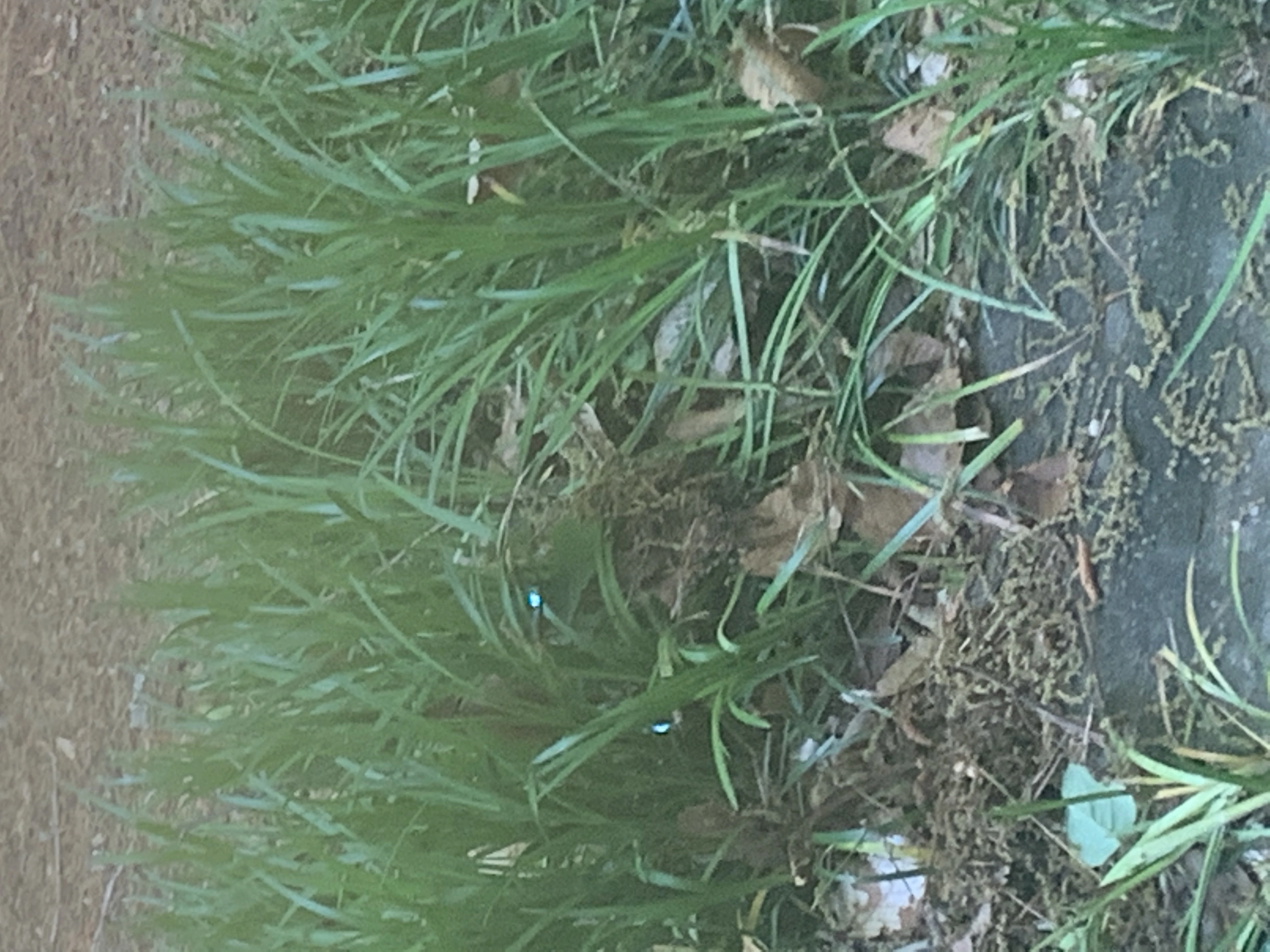 Off topic chat | Fandom