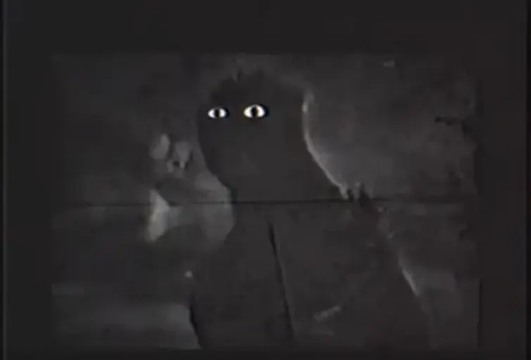 Idk pick my discord pfp (Mister Demi edition) | Fandom