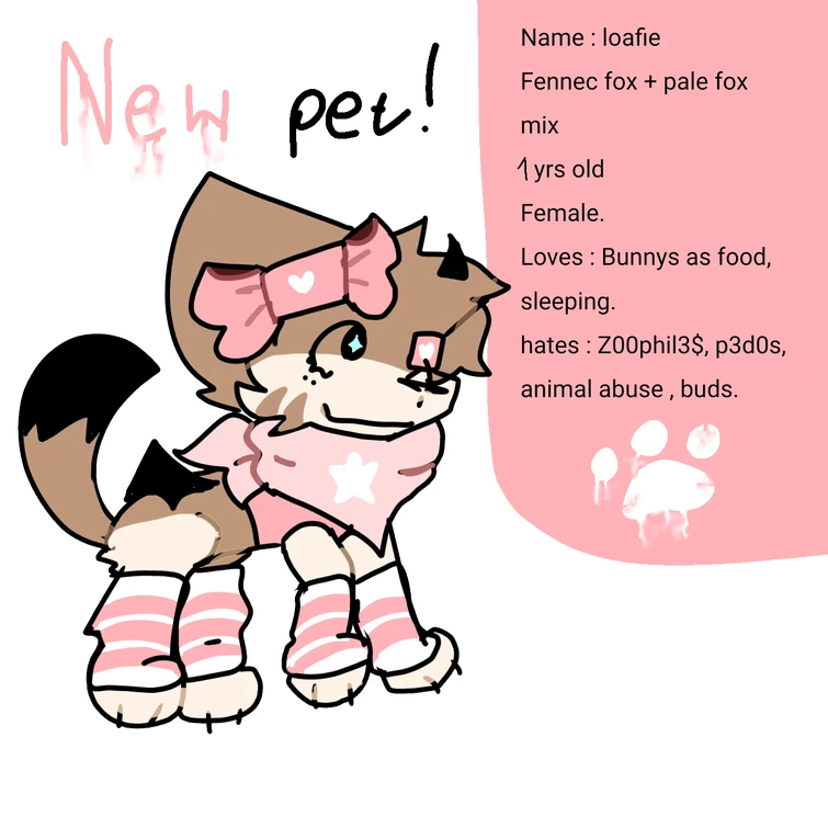 Just a new pet, in a memory of loafal ig | Fandom