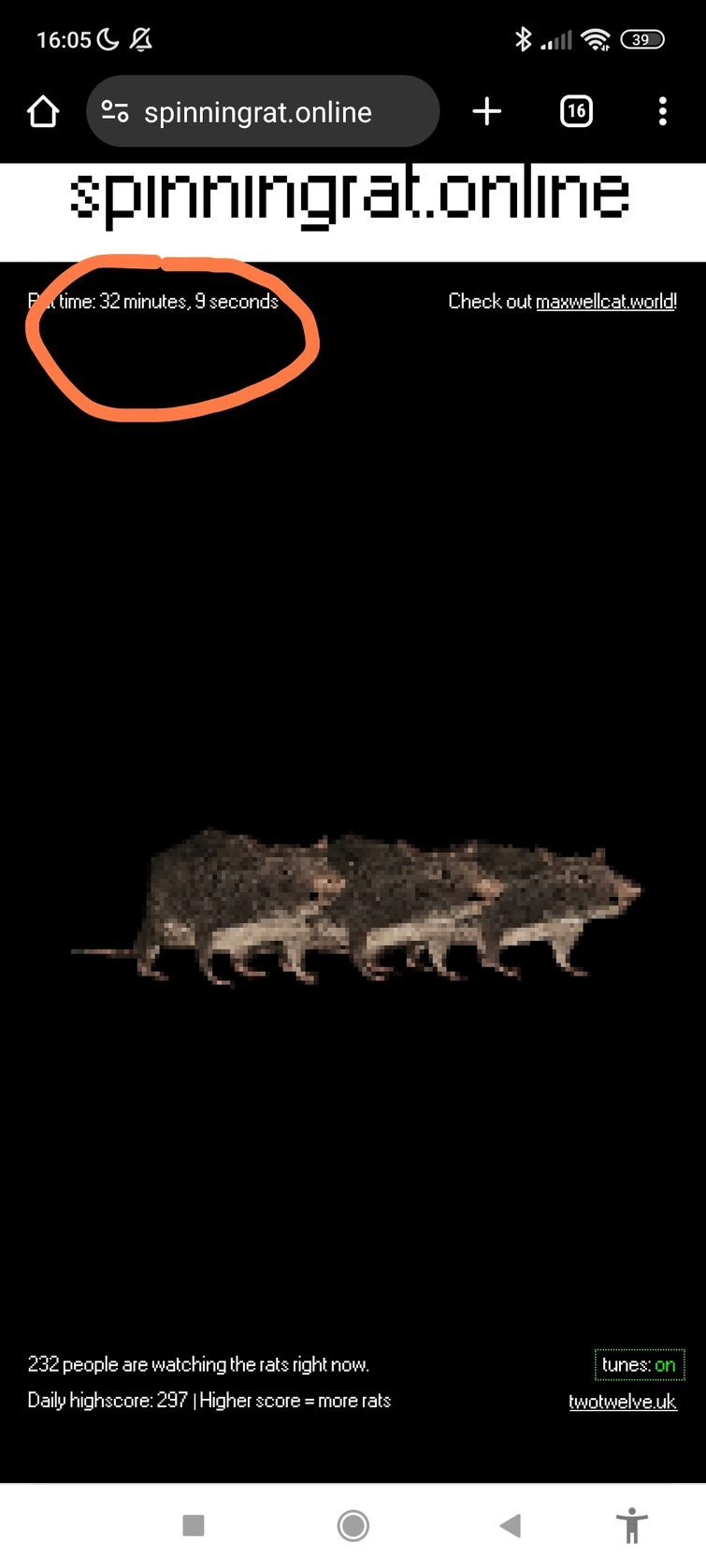 GUYS I FOUND THE MOST AMAZING SITE FOR SPINNING RAT LOVERS!!! | Fandom