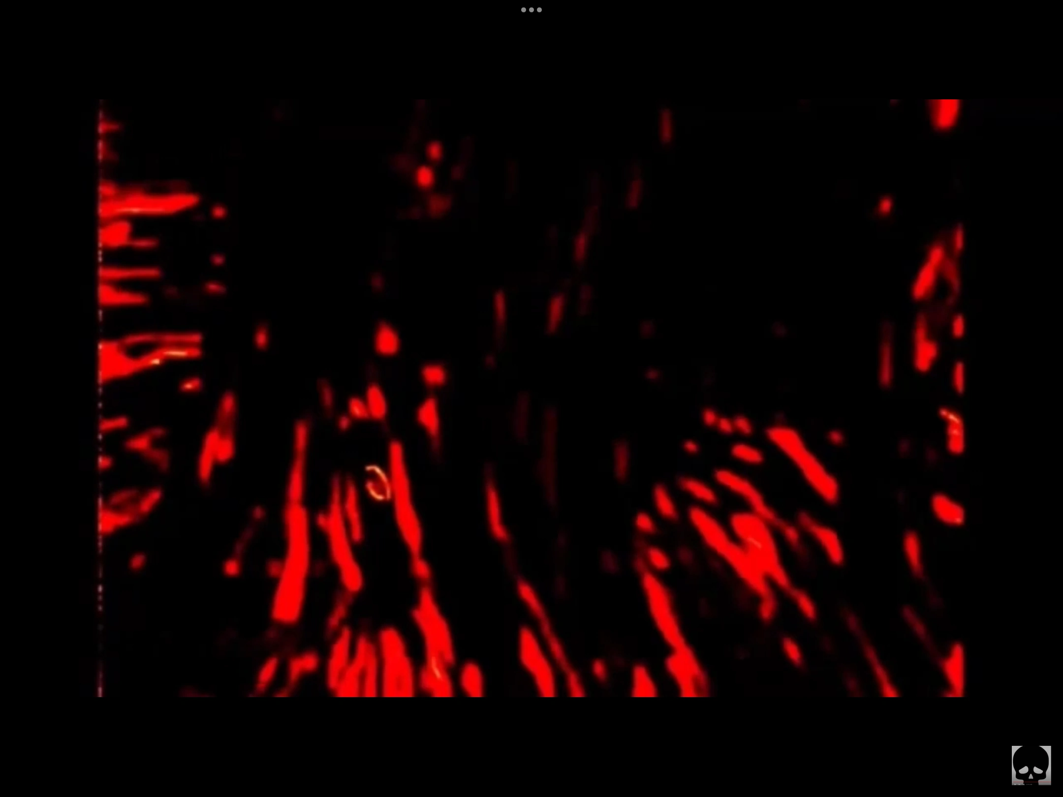 this is the phase after thewinningson’s last phase | Fandom