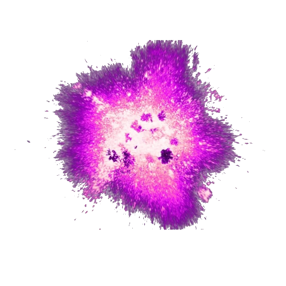 subspace tripmine explosion | Fandom